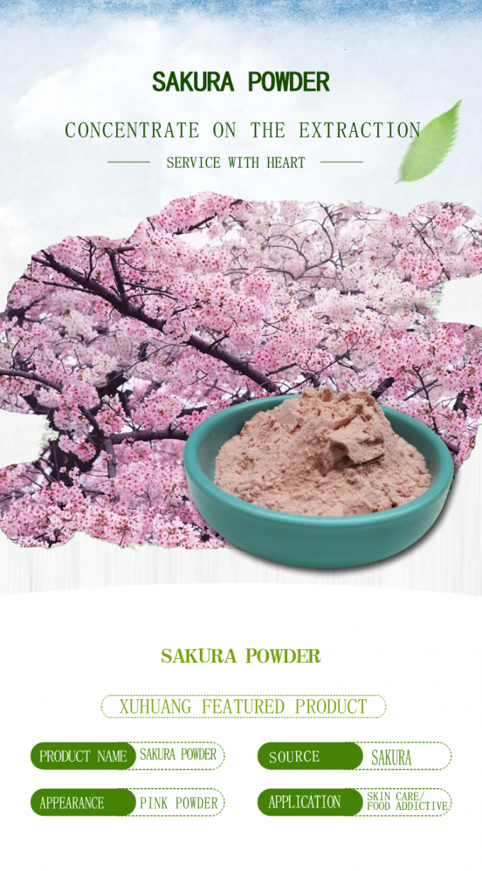 Flower Prunus Serrulata Edible Sakura Pink Powder 80 Mesh