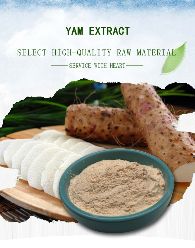 HPLC Diosgenin Wild Yam Extract White Powder 10:1 16%