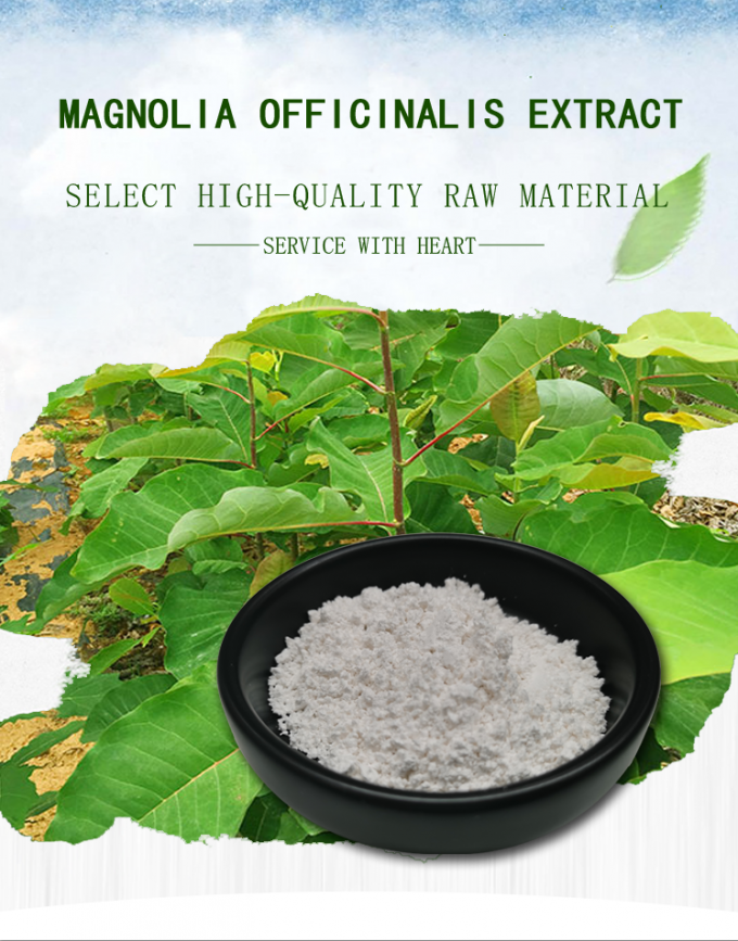 Magnolol 2%-98% Sleep Enhancing Supplement Magnolia Extract
