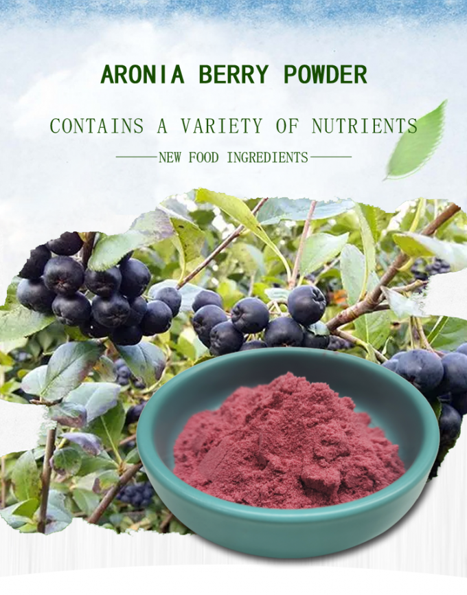 99% Fruit And Vegetable Powder Black Chokeberry Powder Soluble In Water