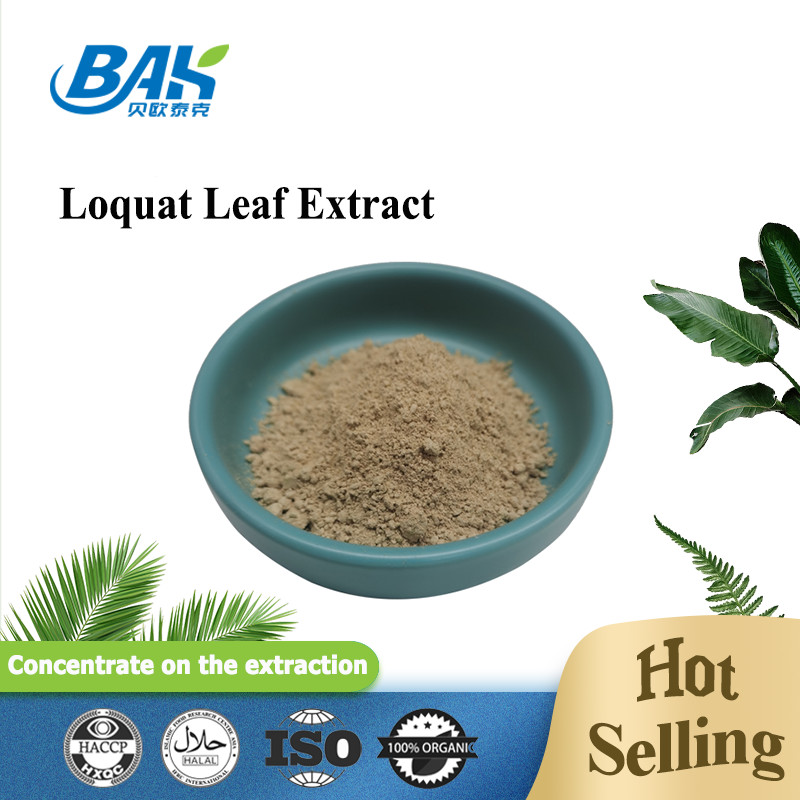 Antioxidation Nutrient Supplement Powder Loquat Leaf Extract Powder 80 Mesh