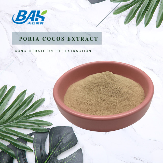 Polysaccharide Mycelium Poria Cocos Extract Brown Yellow Fine Powder