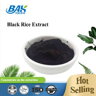 Oryza Sativa Black Rice Extract Dark Purple Powder Anthocyanidins 25%